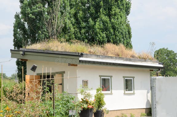 Roof Garden stock image. Image of soil, green, photosynthesis - 25907155