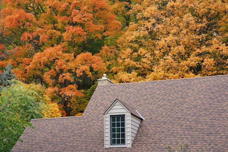 Roof of House with Dormer Window Stock Photo - Image of shingle, tree ...