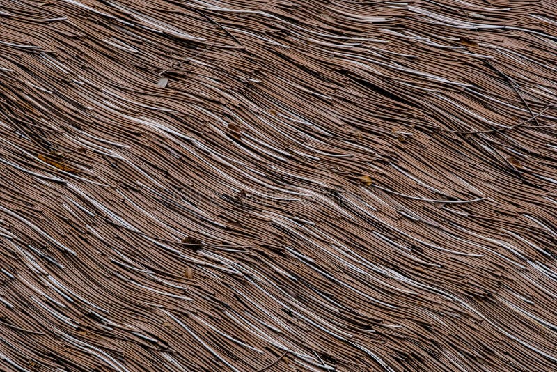 Roof is Made by Brown Grass Lines. Texture Background Stock Image ...