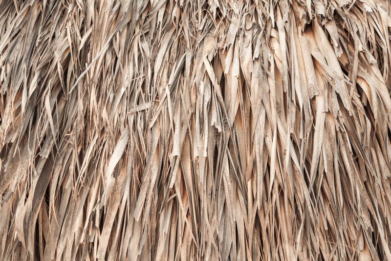 Palapa texture background stock image. Image of rustic - 39228649