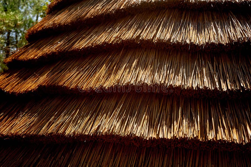 The Roof is Made of Straw.Old Roof Type. Historical Detail Stock Photo ...