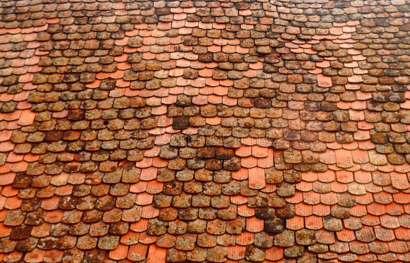 453 Medieval Tiled Roof Texture Stock Photos - Free & Royalty-Free ...
