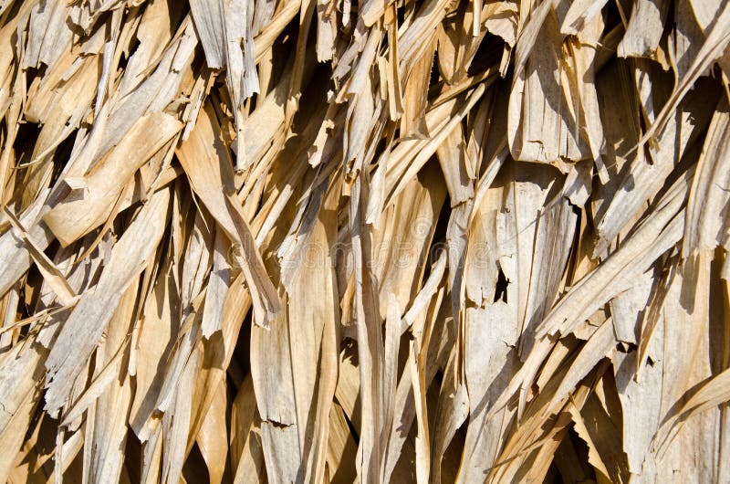 The roof of the nipa palm. stock photo. Image of line - 22685842