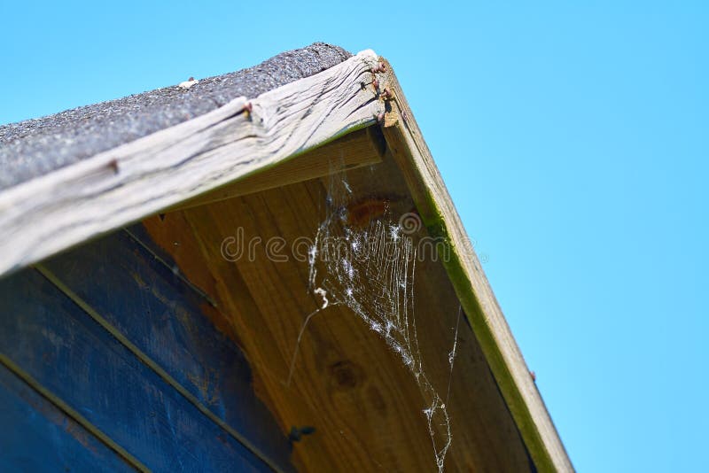 Roof stock photo. Image of wooden, weather, cobweb, roof - 70961872