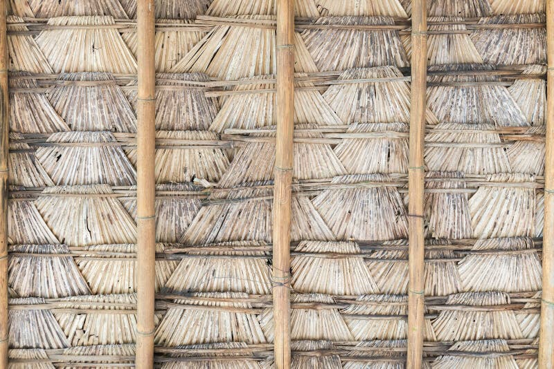 Palm leaf roof stock image. Image of tropical, leaves - 8139689