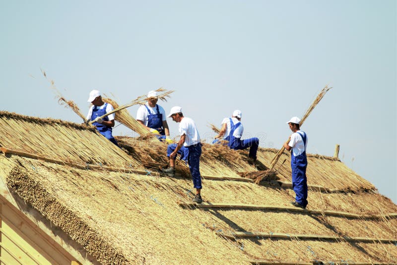 Roof reed building editorial image. Image of reed, historic - 66905335
