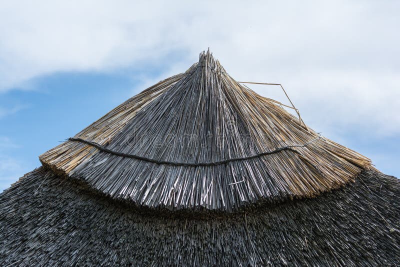 Roof of reeds. stock image. Image of textured, tropical - 92142751