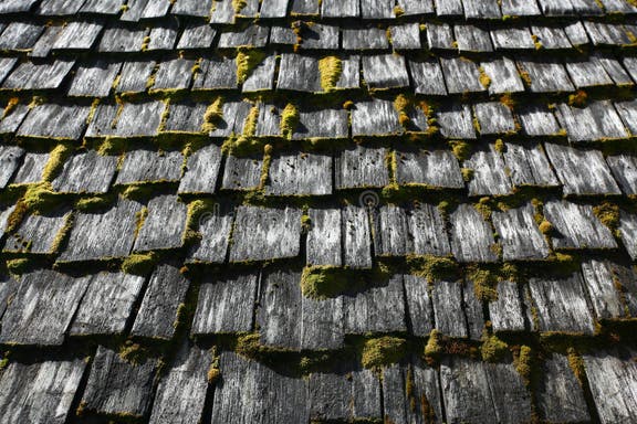 635 Green Shingles Roof Texture Stock Photos - Free & Royalty-Free ...
