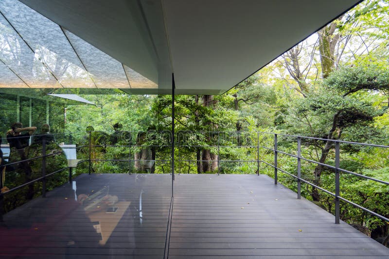 The Roof Terrace and Reflection of the Forest Stock Photo - Image of ...