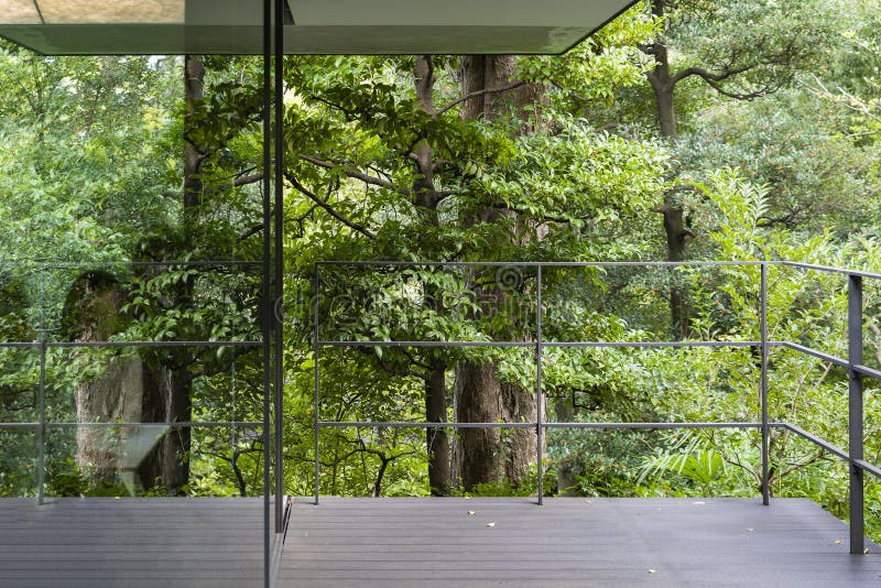 The Roof Terrace and Reflection of the Forest Stock Photo - Image of ...