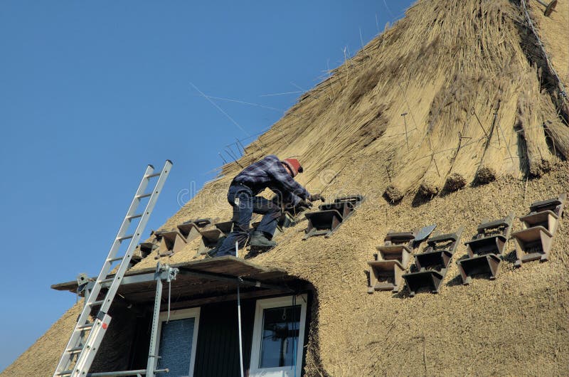 Roof thatching stock image. Image of thatch, roof, friesland - 640133