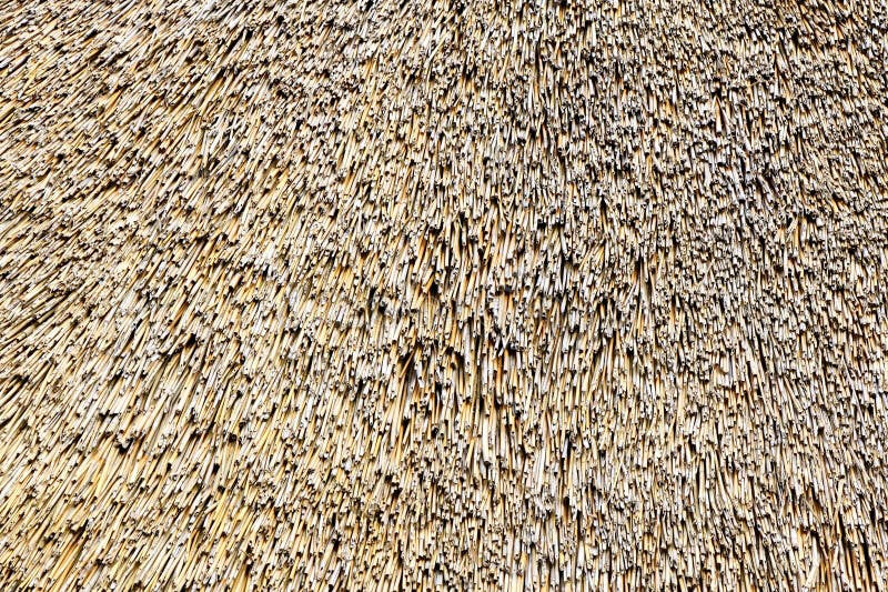 Roof Thatching stock image. Image of irish, tradition - 76076187