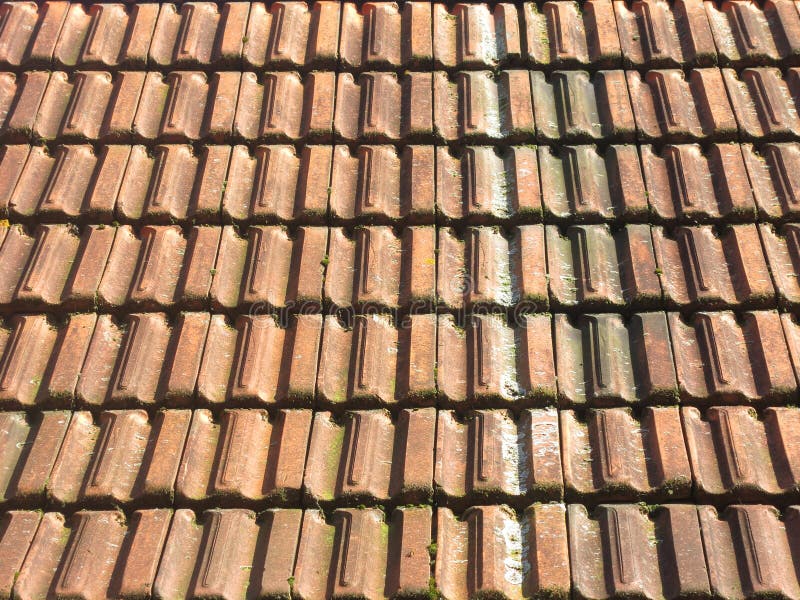 Scanted Roof Stock Photos - Free & Royalty-Free Stock Photos from ...