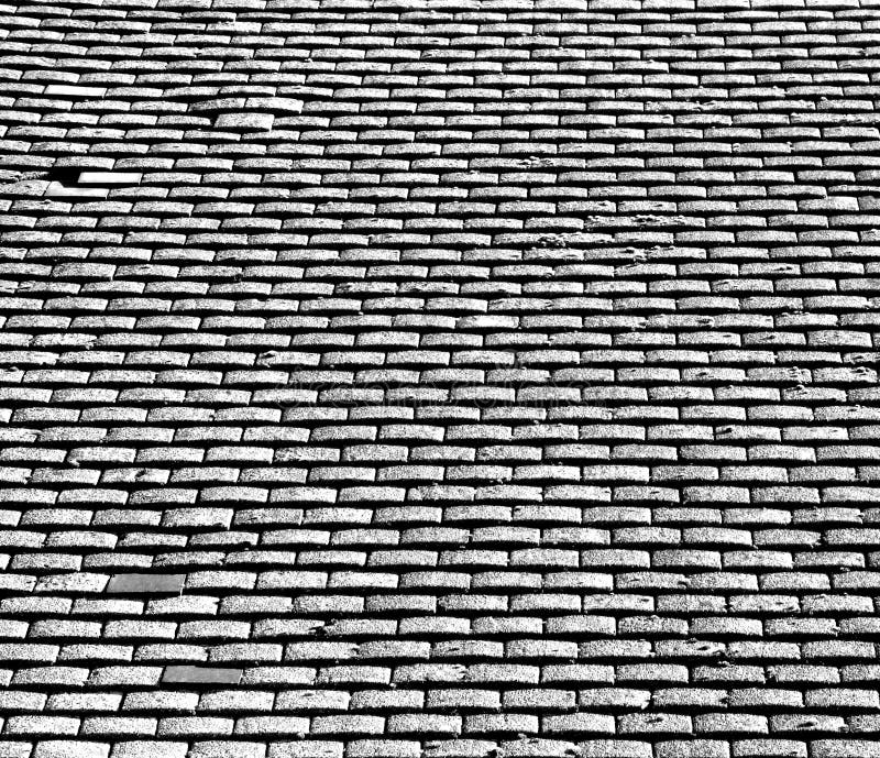 Roof Tiles Background 2 Picture. Image: 2979284