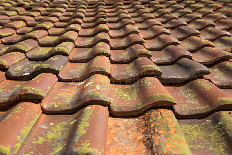 Roof Tiles Covered with Moss, in Need of Renovation Stock Photo - Image ...