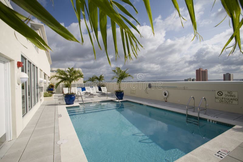 Roof Top Pool stock image. Image of hotel, palm, holiday - 9600437
