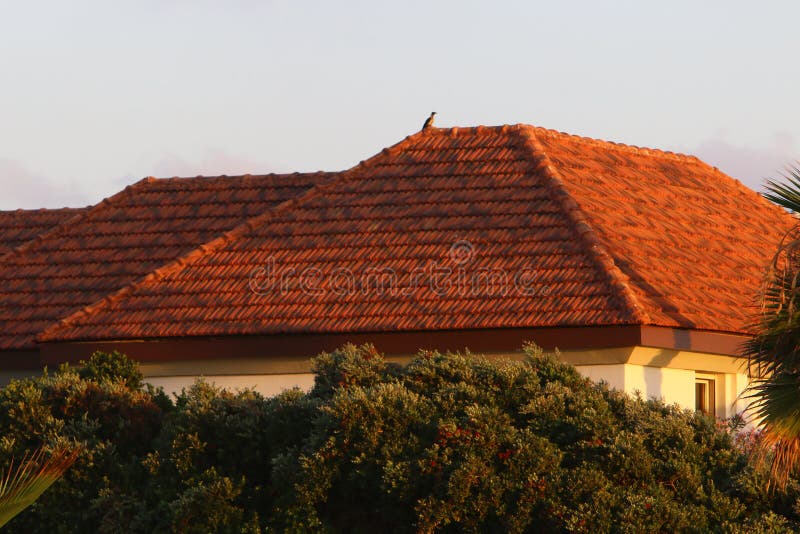 Roof - the Upper Structure of the Building and Structures Stock Photo ...