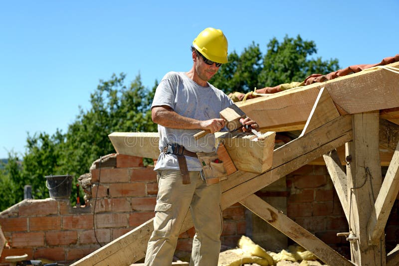 Carpenter stock image. Image of safety, harness, rope - 5243235