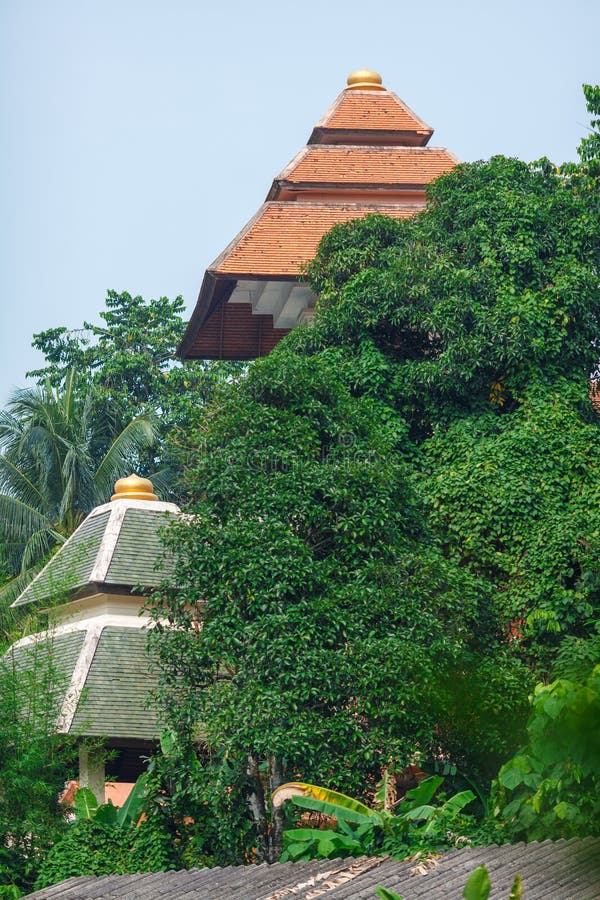 Roofs of an Asian Building among the Jungle Stock Image - Image of cove ...
