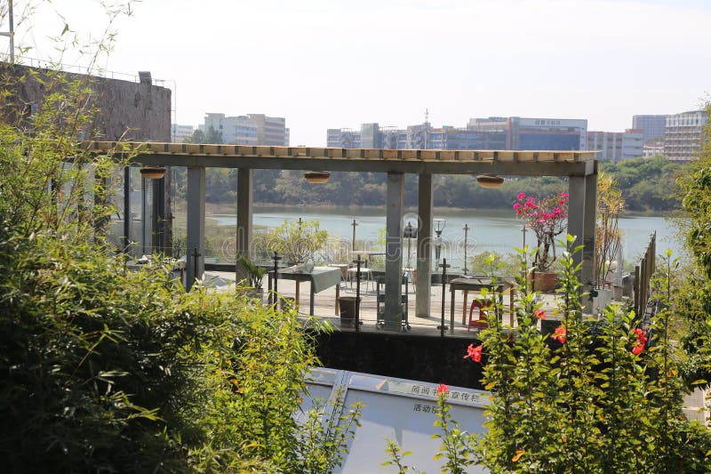A Rooftop Bar on the River, Surrounded by Lush Greenery and Blooming ...
