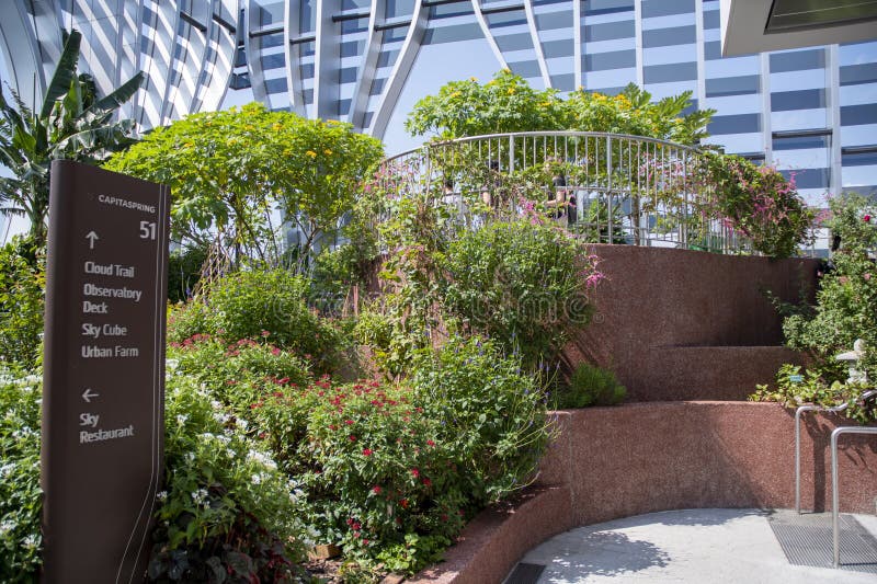 Rooftop Garden at CapitaSpring Building, Singapore Editorial ...