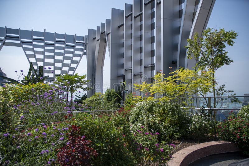 Rooftop Garden at CapitaSpring Building, Singapore Editorial Stock ...