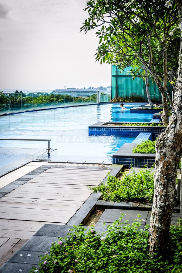 Rooftop Infinity Swimming Pool with Sunbathing Lounge Chairs and Trees ...
