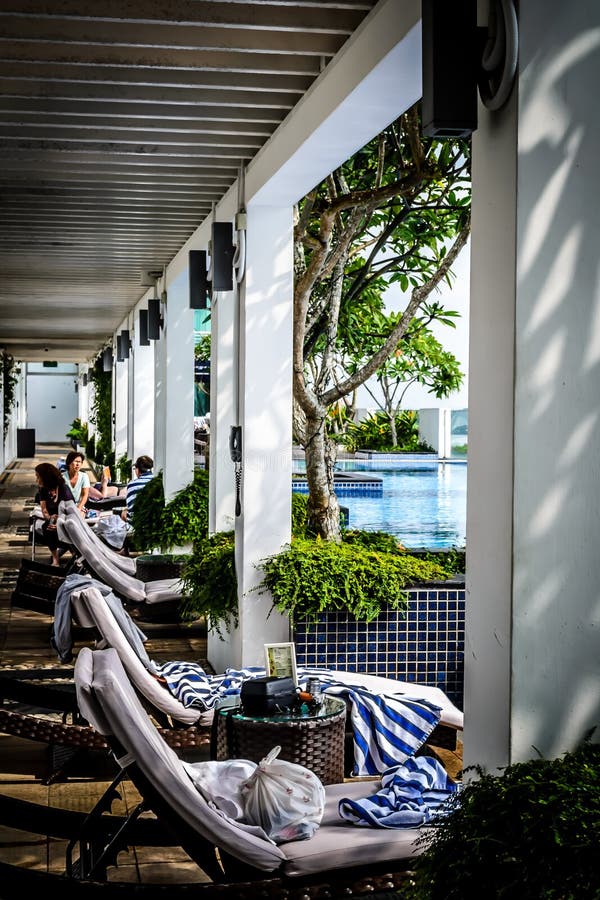 Rooftop Infinity Swimming Pool with Sunbathing Lounge Chairs and Trees ...
