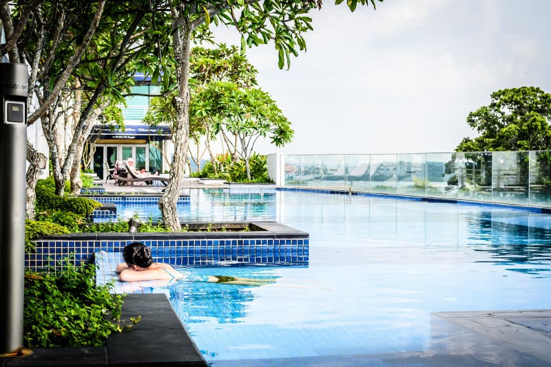 Rooftop Infinity Swimming Pool with Sunbathing Lounge Chairs and Trees ...