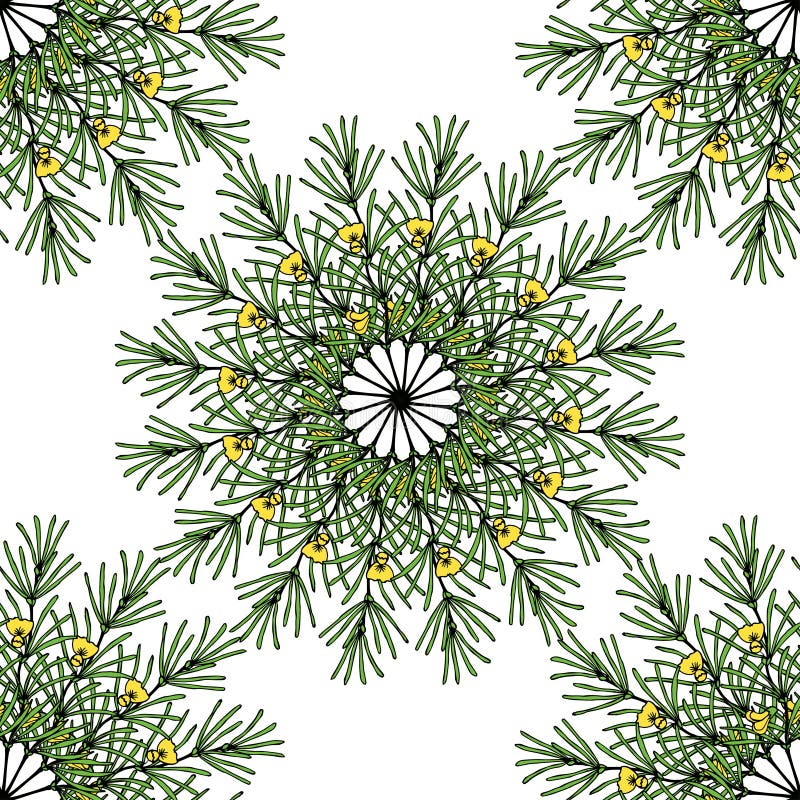 Rooibos En Color, 2 Inconsútiles Ilustración del Vector - Ilustración ...