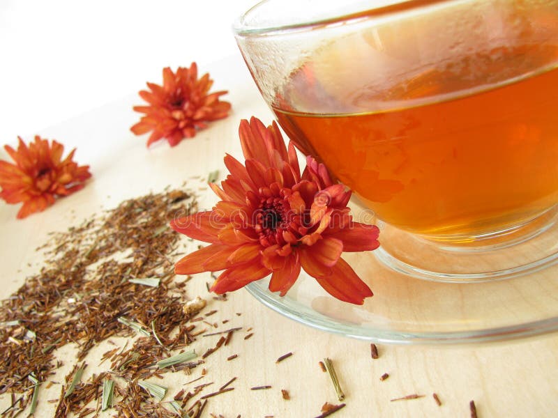 Rooibos tea stock photo. Image of herbal, healthy, rooibos - 17124722