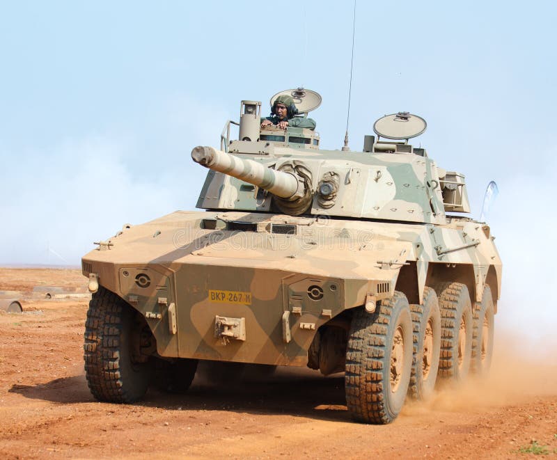 Rooikat down a dusty road editorial image. Image of south - 27253930