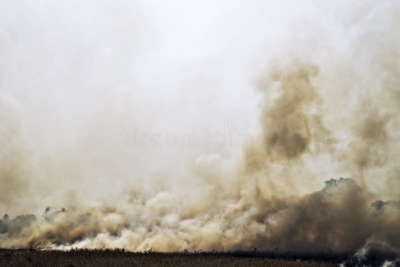 Rook Van Een Brand Op Een Gebied Stock Afbeelding - Image of heet ...