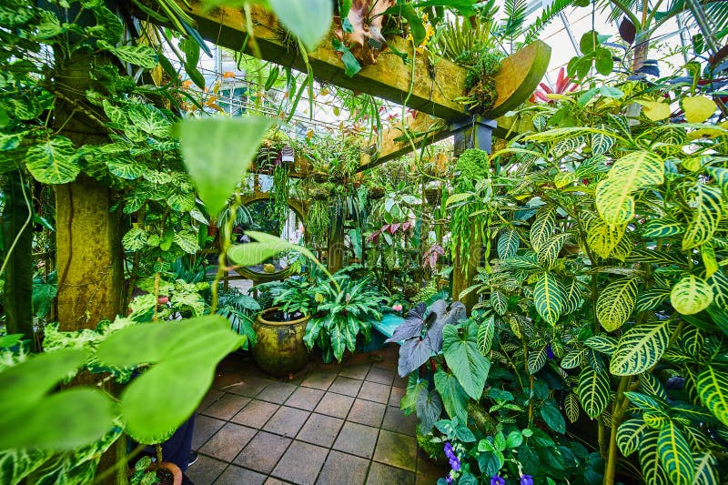 Room Full of Plants with Moon Gate with Greenhouse Ceiling Stock Photo ...