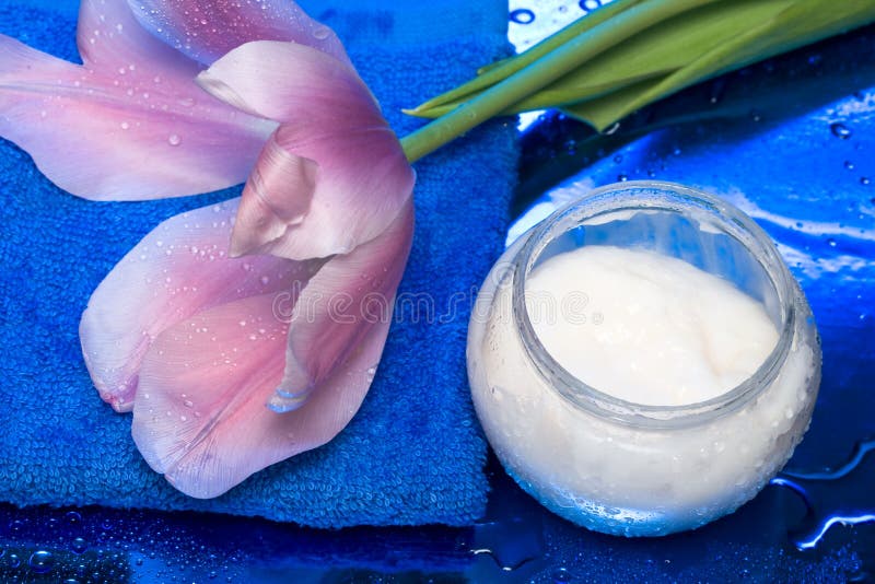 Blauwe Tulp Met Waterdalingen Stock Afbeelding - Image of bloembed ...