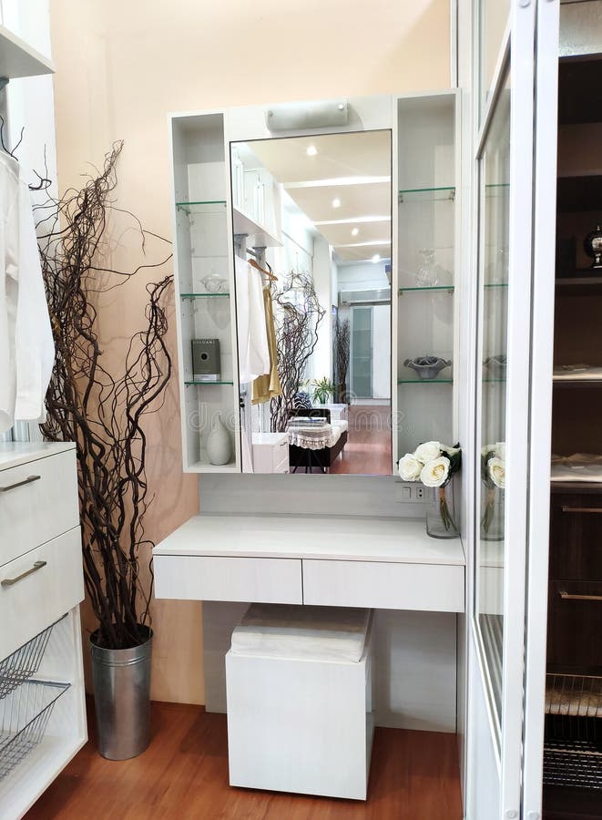 Room with the Open Empty Closet, Working Closet, Cupboard with Some ...