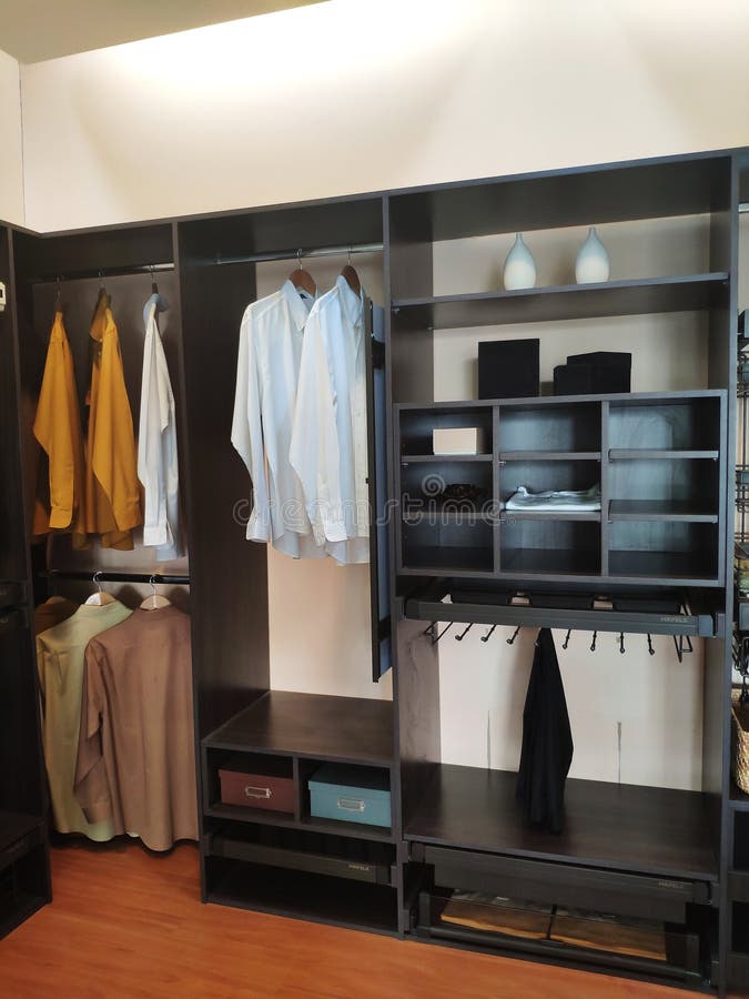 Room with the Open Empty Closet, Working Closet, Cupboard with Some ...