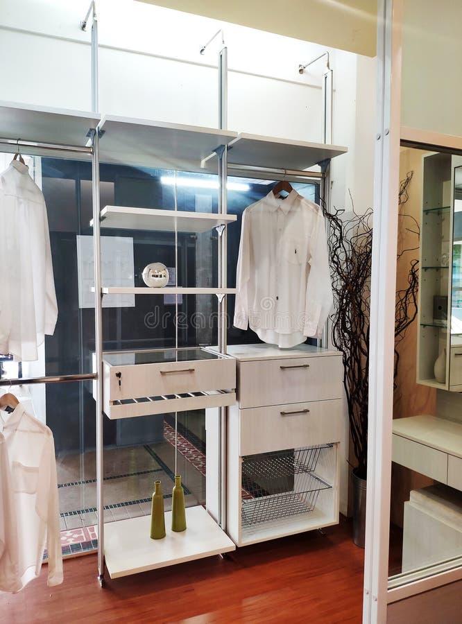 Room with the Open Empty Closet, Working Closet, Cupboard with Some ...