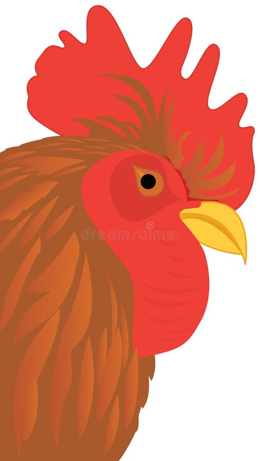 Proud Rooster Stock Illustrations – 595 Proud Rooster Stock ...