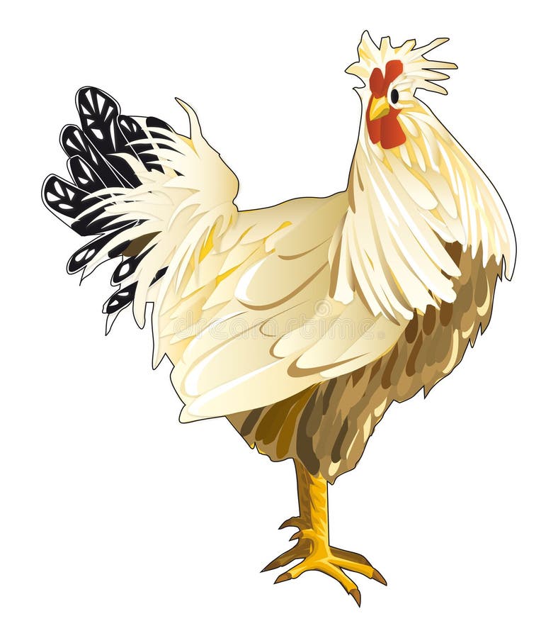 Rooster Running stock illustration. Illustration of digital - 49760590