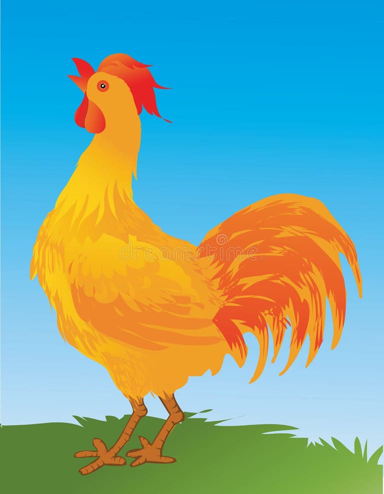 Baby Rooster Stock Illustrations – 7,281 Baby Rooster Stock ...
