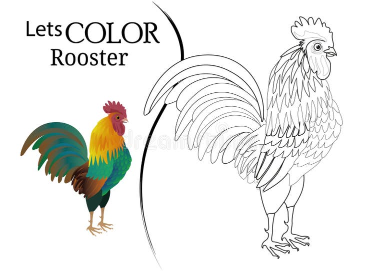 Learning Worksheet Rooster Coloring Tracing Stock Illustrations – 9 ...