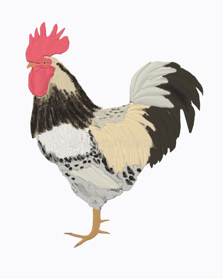 Rooster Running stock illustration. Illustration of digital - 49760590