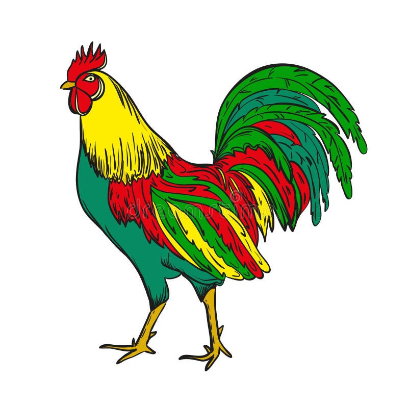 Rooster Bright Color Vector Illustration Stock Vector - Illustration of ...