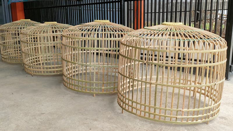 Rooster Cage Made by Skilled Human Hands from Bamboo Stock Image ...