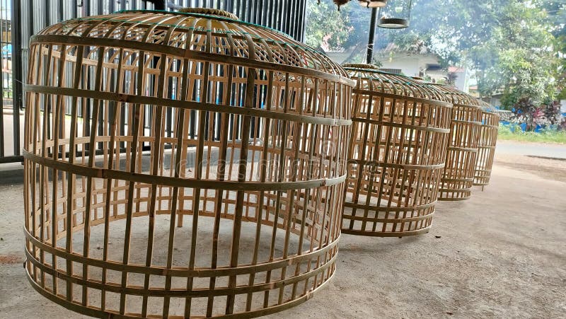 Rooster Cage Made by Skilled Human Hands from Bamboo Stock Photo ...