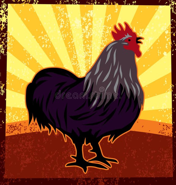 Early Morning Rooster Stock Illustrations – 420 Early Morning Rooster ...