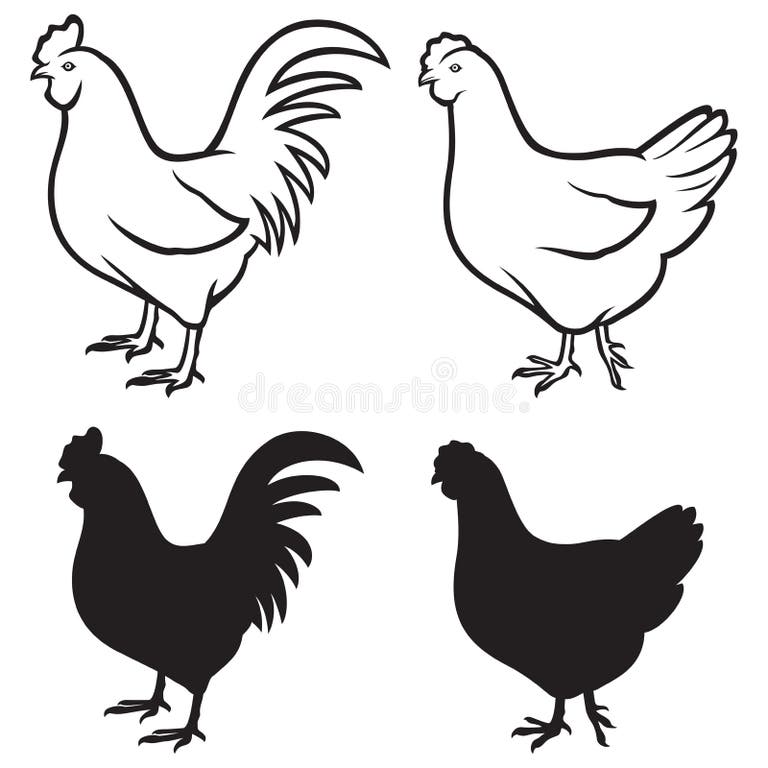 Cartoon Chicken Profile Stock Illustrations – 1,376 Cartoon Chicken ...