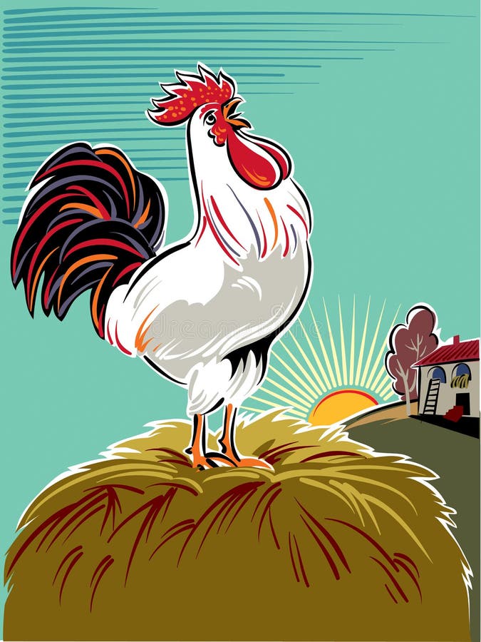 Rooster at Dawn from the Alarm Singing. Stock Illustration ...