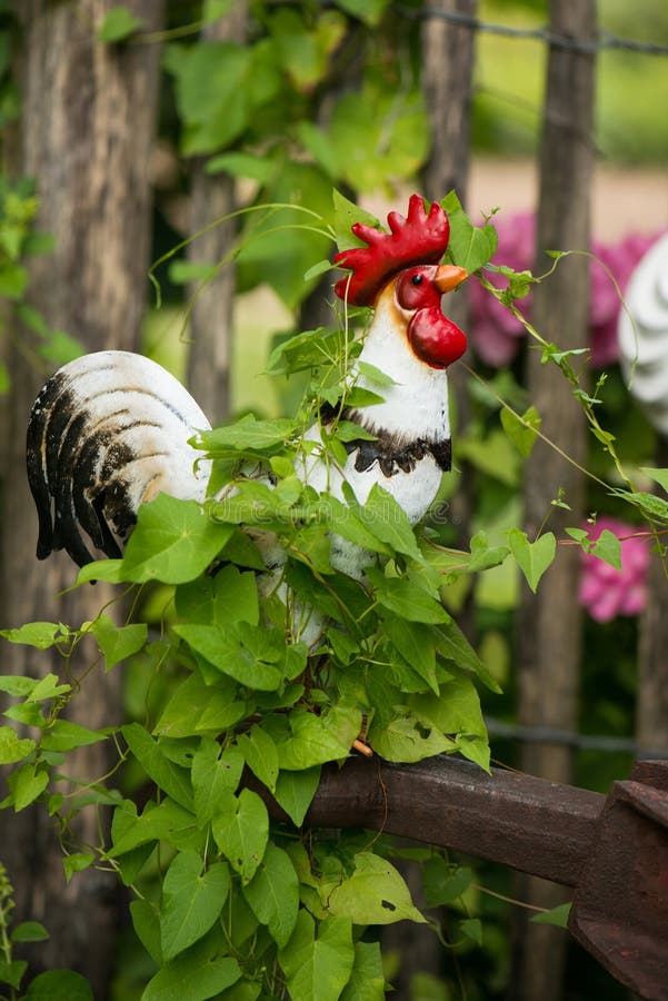 Rooster Decoration in a Garden Stock Photo - Image of garden, rooster ...